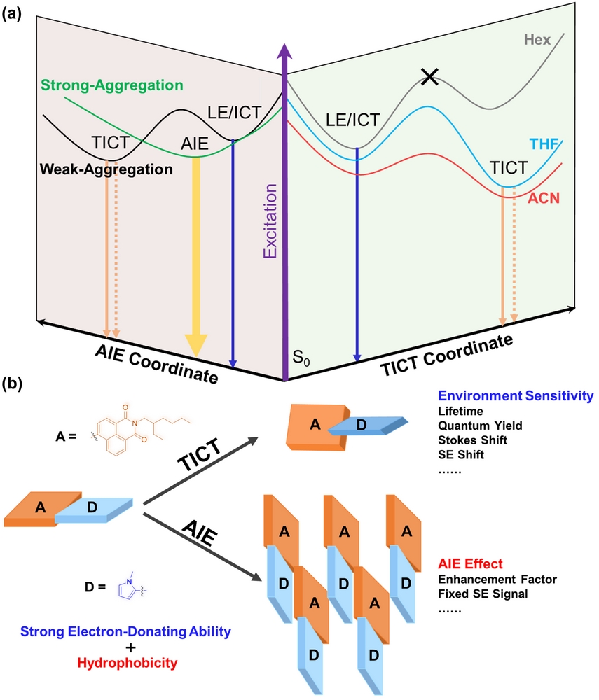 13. 荧光小分子中扭转分子内电荷转移和聚集诱导发光的调控-新概念传感器与分子材料研究院